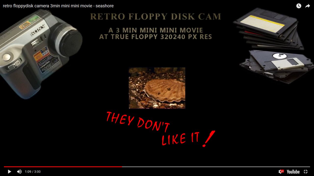 Retro floppy-disk camera 3min mini mini movie – seashore – SeaShore Antics